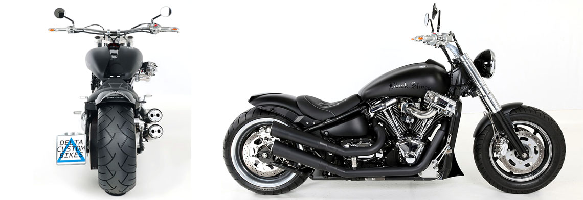 Delta Custom Bikes